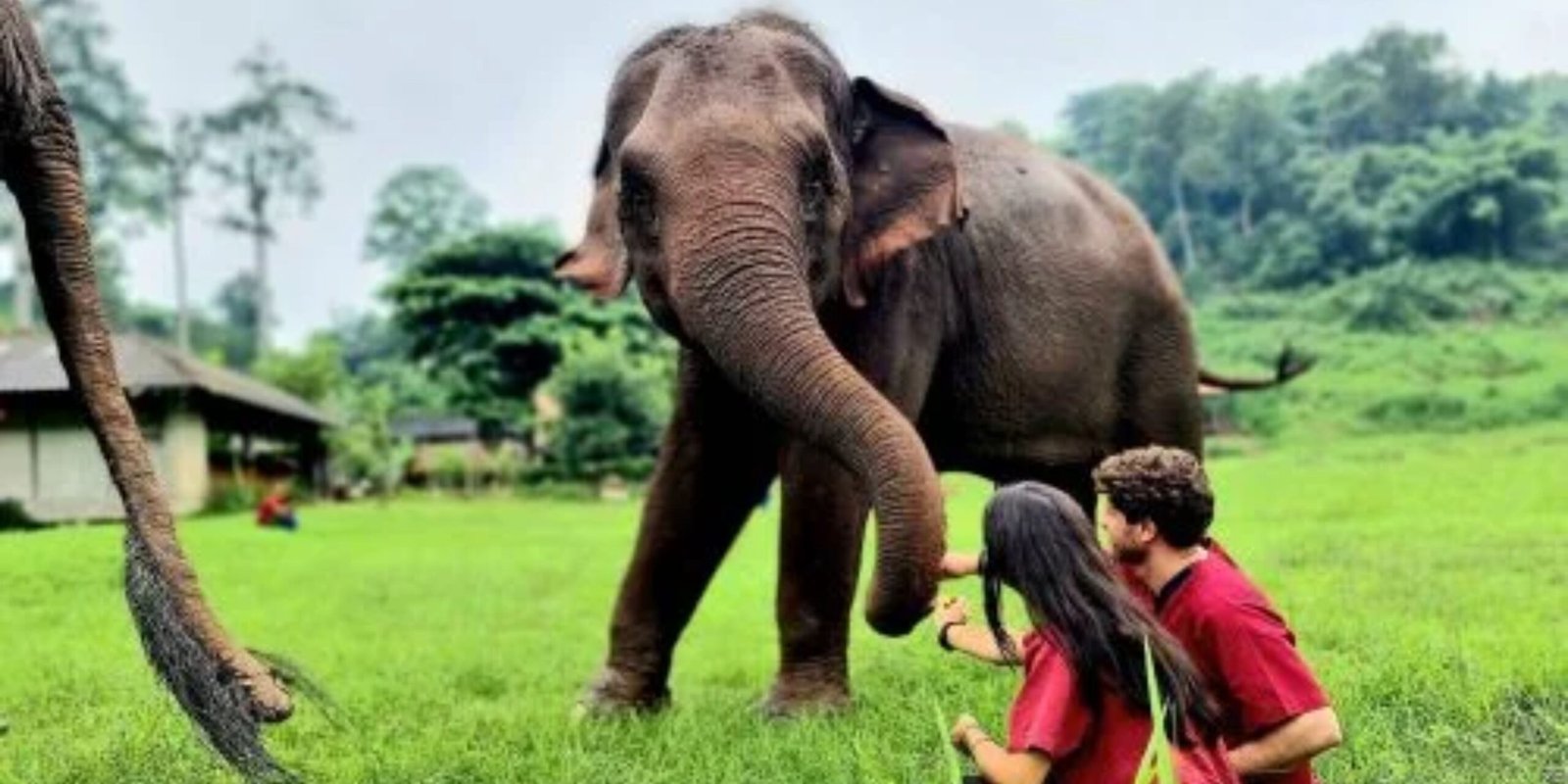 Hacer un Voluntariado: Guía Práctica para Empezar